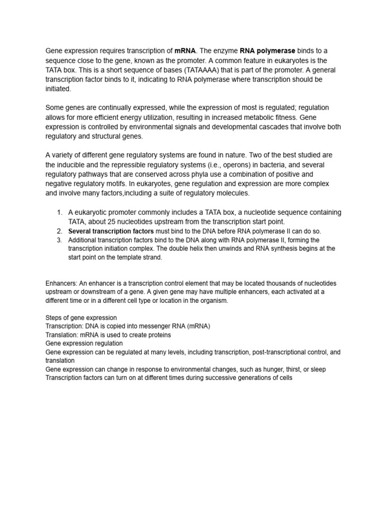 AP Bio Gene Expression | PDF