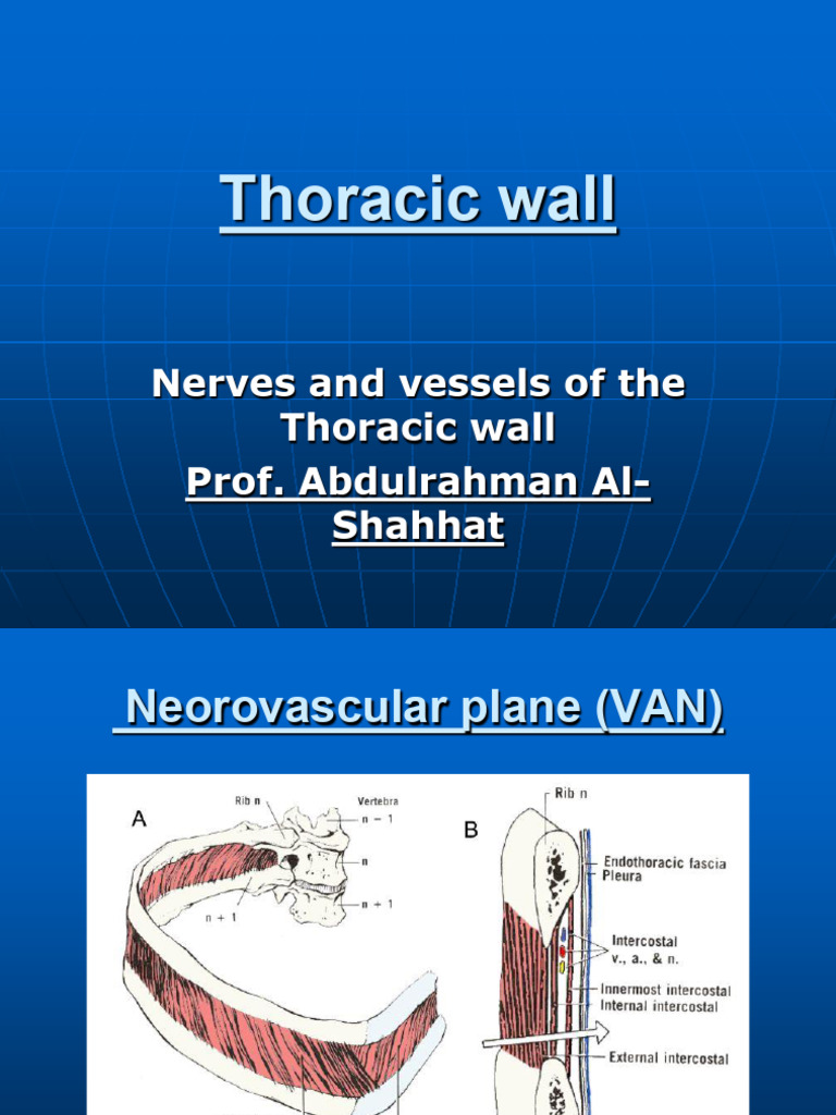 Lecture Anatomy Blood Supply & Innervation of Thoracic Wall PDF | PDF