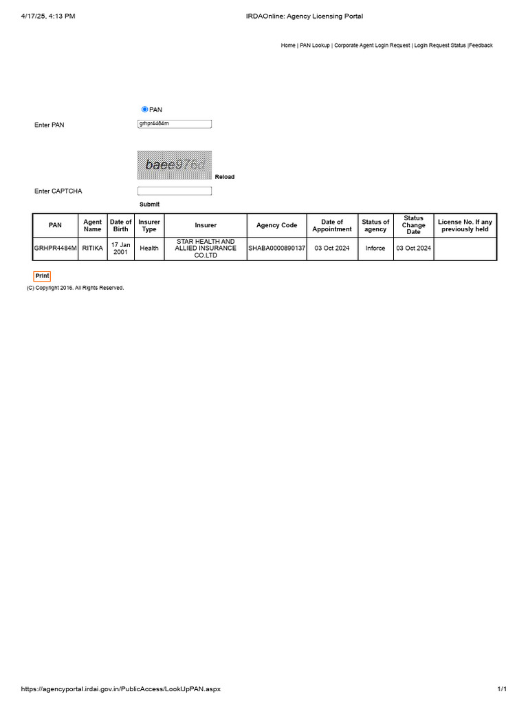 IRDA PAN Lookup Portal Guide | PDF