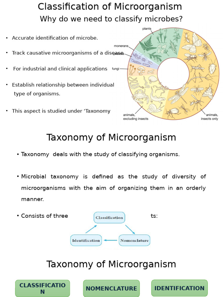 Final PPT Microbiology | PDF | Taxonomy (Biology) | Microorganism