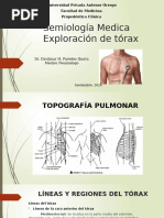Tipos de Torax | PDF | Tórax | Sistema esquelético