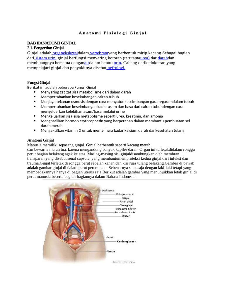 Anatomi Fisiologi Ginjal | PDF
