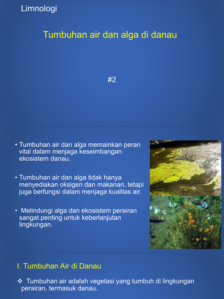 Peran Tumbuhan Air dalam Ekosistem Danau | PDF