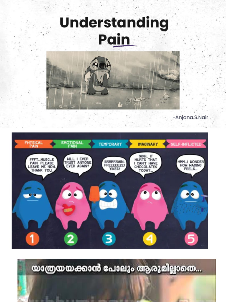 Understanding Pain | PDF | Pain | Analgesic