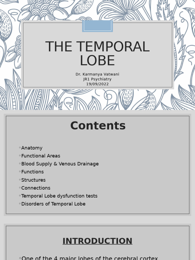 The Temporal Lobe (Autosaved) | PDF | Temporal Lobe | Auditory System