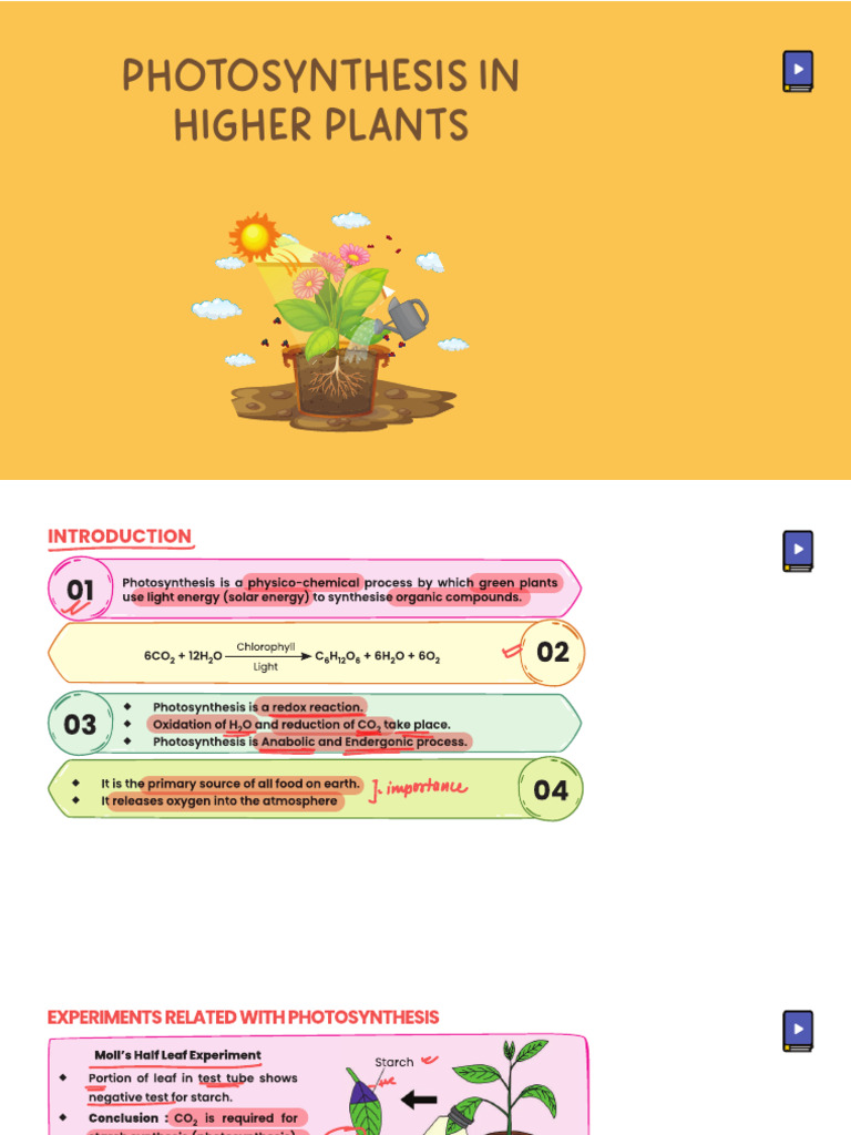 CH 11. Photosynthesis in Higher Plants - PPT | PDF | Photosynthesis ...