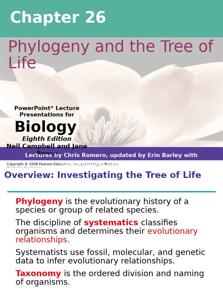 26 Lecture Presentation 0 | PDF | Homology (Biology) | Molecular ...