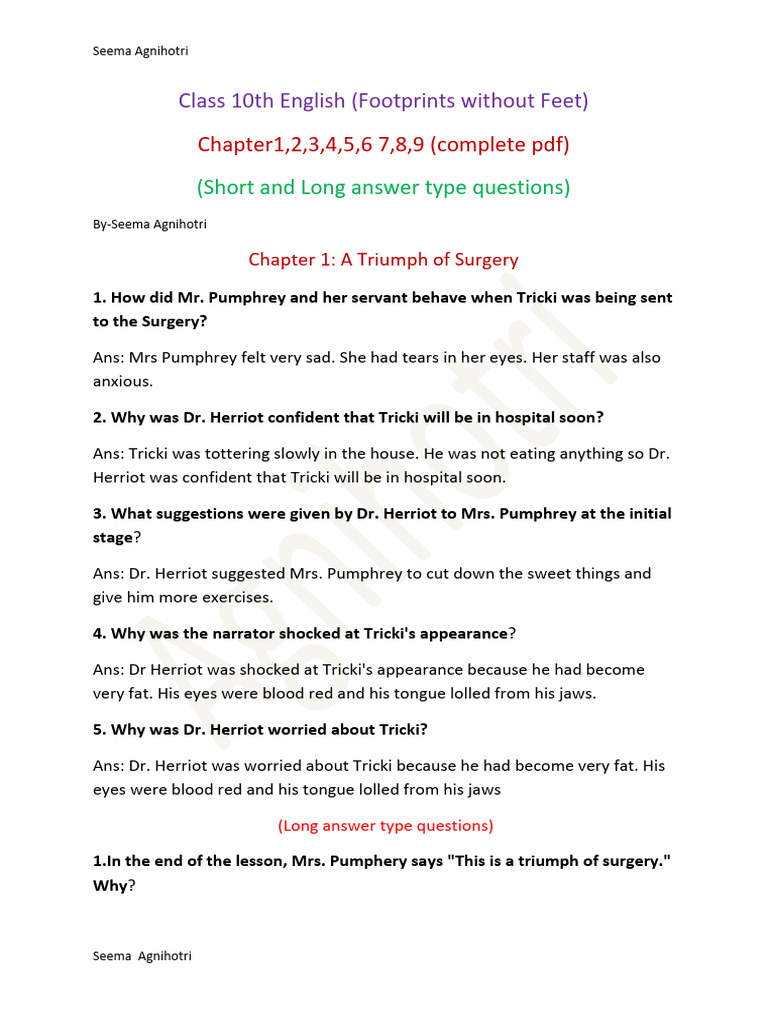 Class 10 English: Footprints Without Feet | PDF | Theft