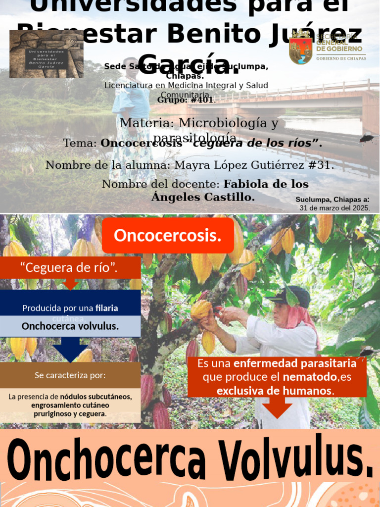 Oncocercosis: Ceguera de los Ríos | PDF | Especialidades Medicas ...