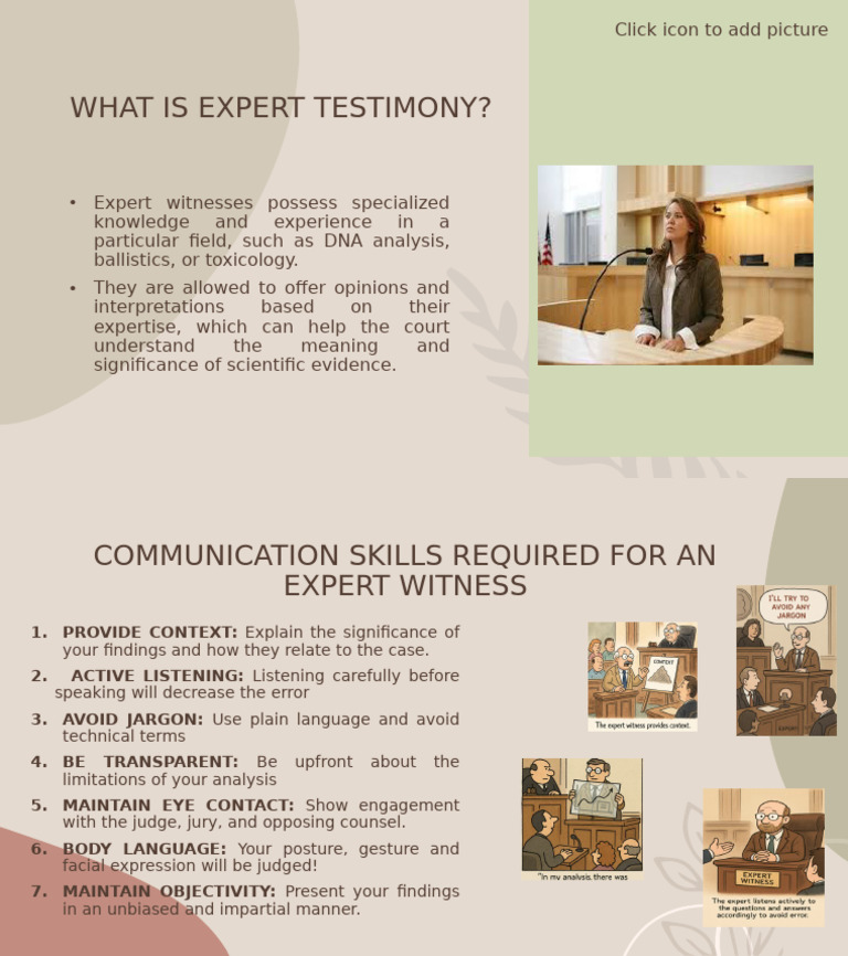 What Is Expert Testimony | PDF