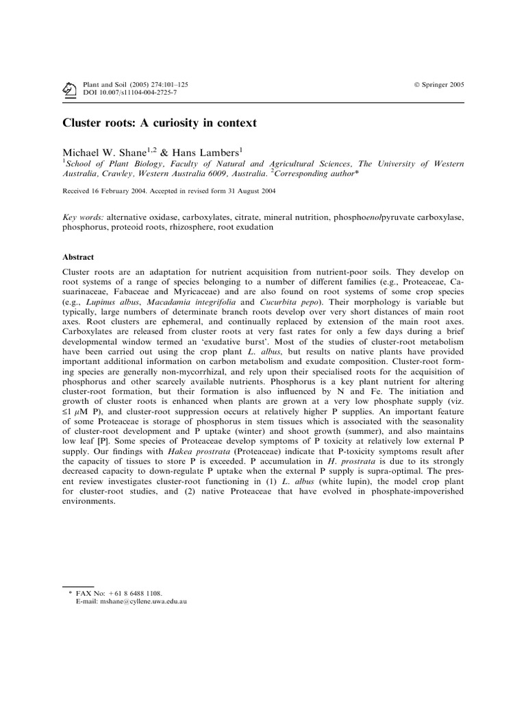 Cluster Roots: A Curiosity in Context | PDF | Root | Auxin