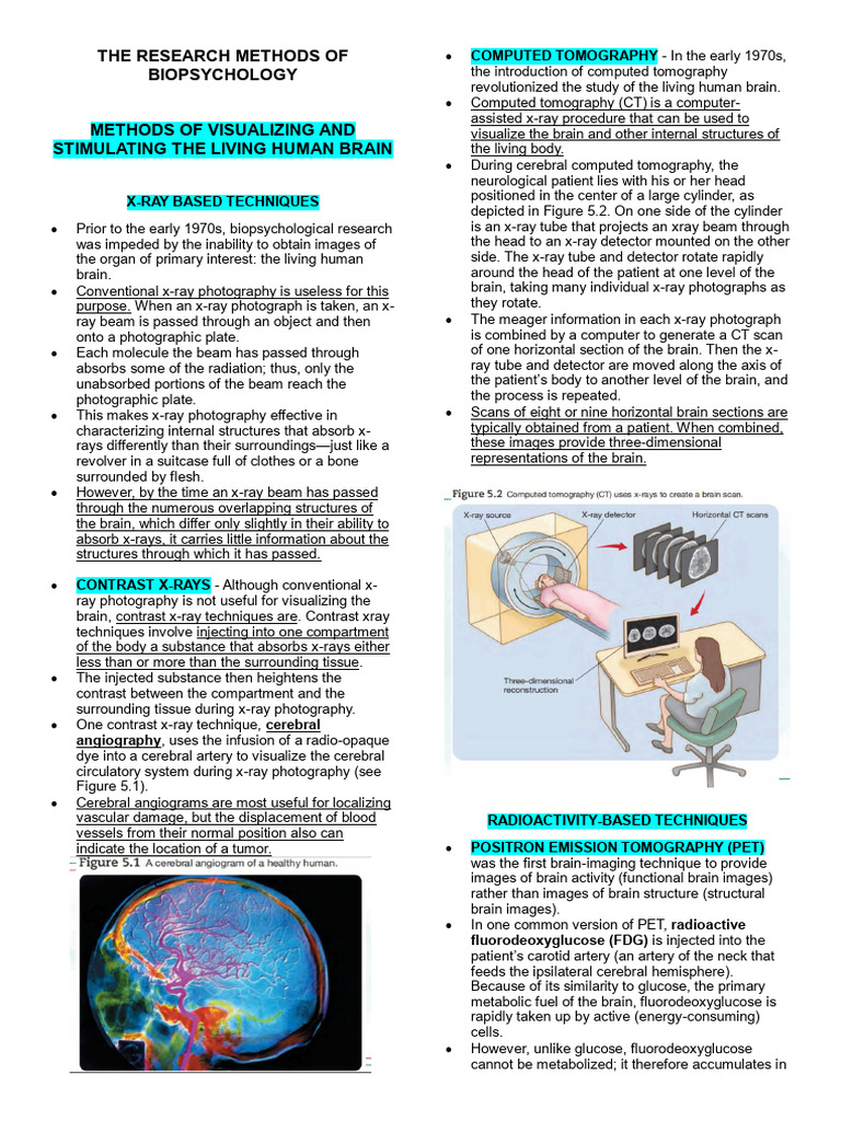 Biopsychology Brain Imaging Techniques | PDF | Electroencephalography ...