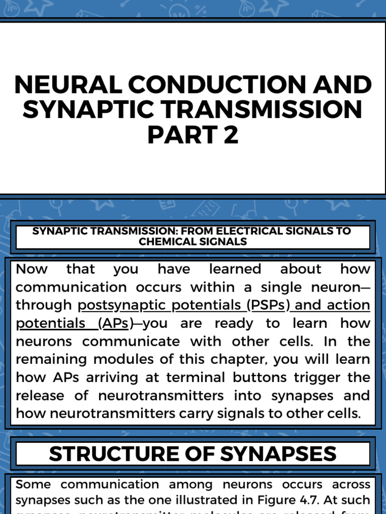 Neural Conduction and Synaptic Transmission PART 2 | PDF | Chemical Synapse | Neurotransmitter