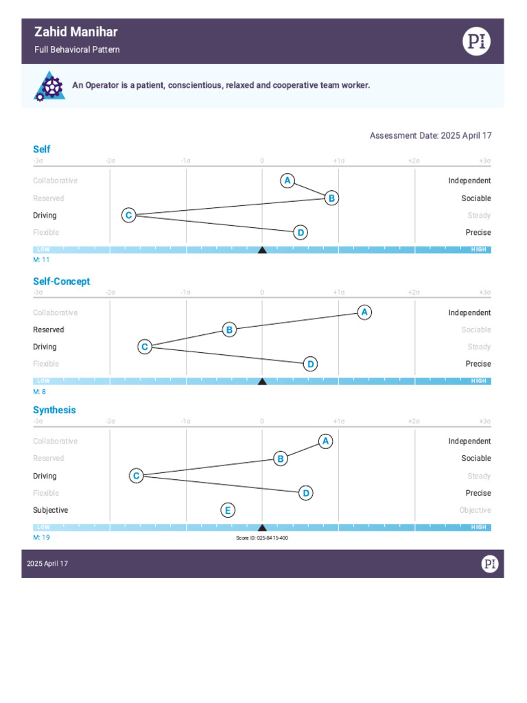 Manihar Zahid FullBehavioralPattern | PDF