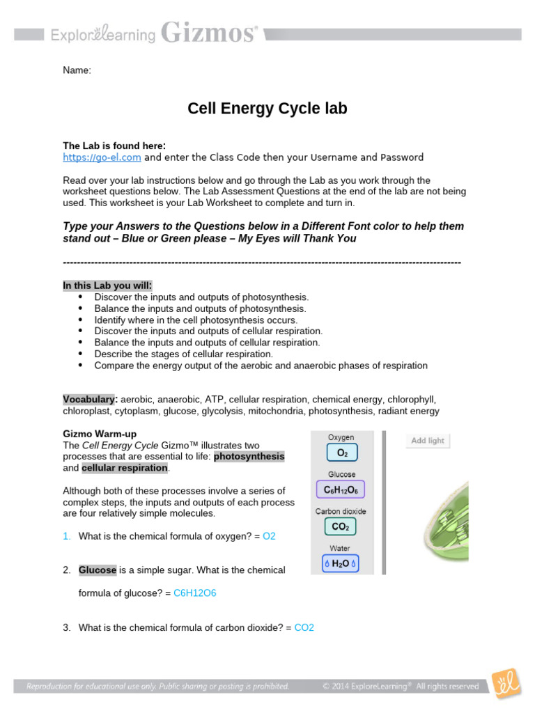 CellEnergyCycleLab WAVA | PDF | Cellular Respiration | Photosynthesis