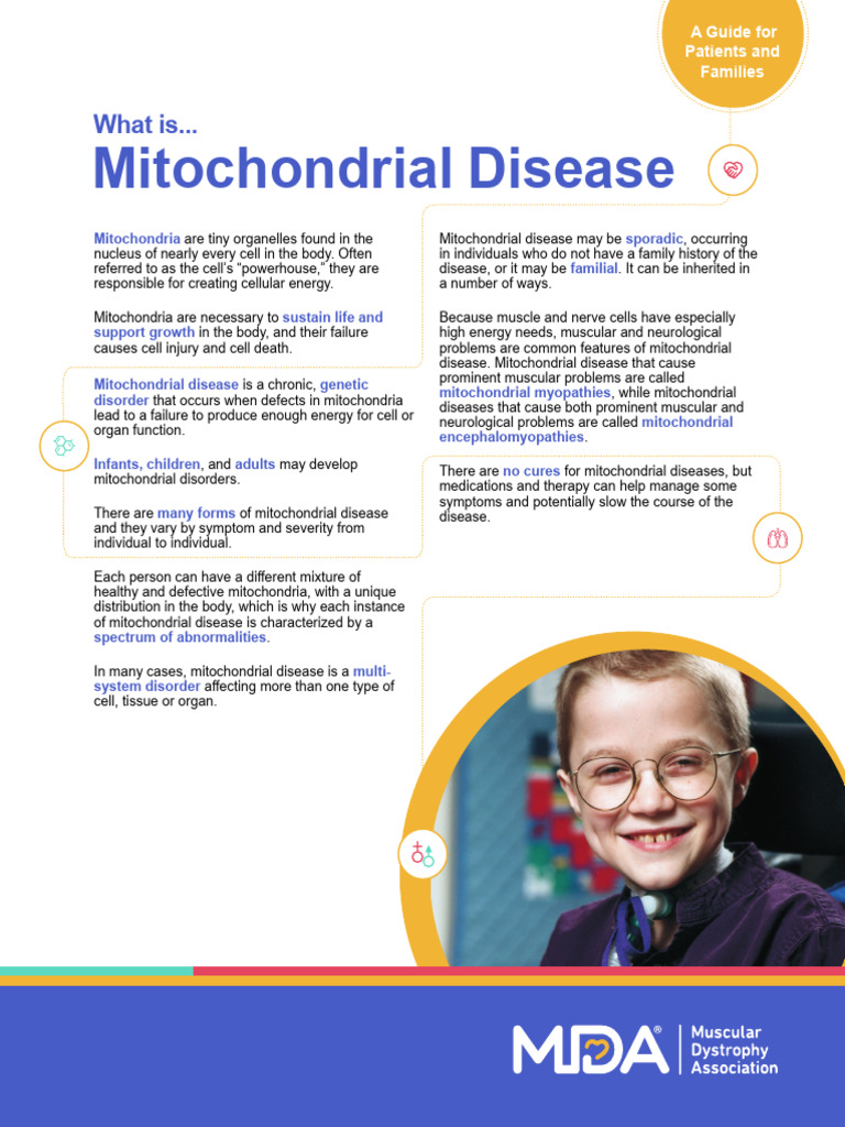 Mitochondrial Disease: A Patient Guide | PDF | Mitochondrion | Nervous ...