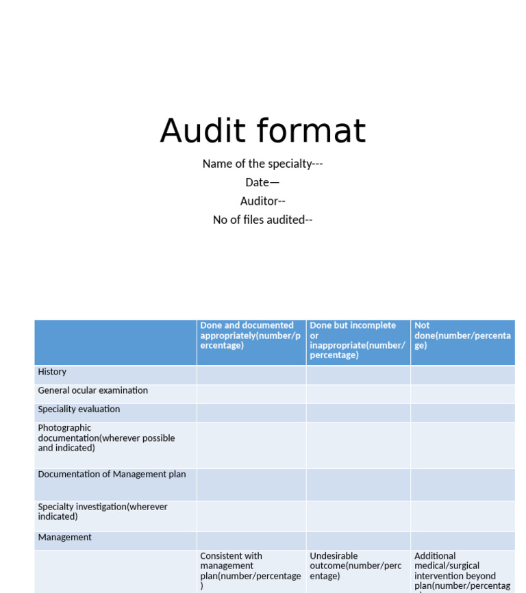 Audit format | PDF