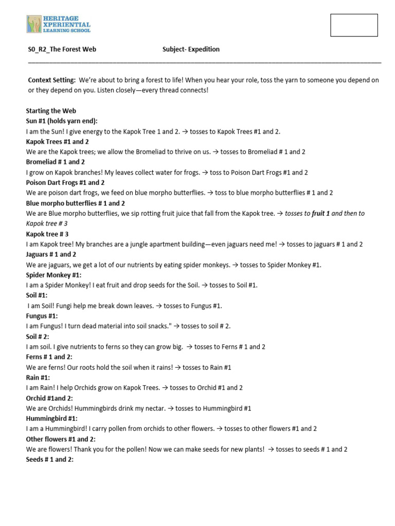 The Kapok Tree Ecosystem Web | PDF | Trees | Flowers