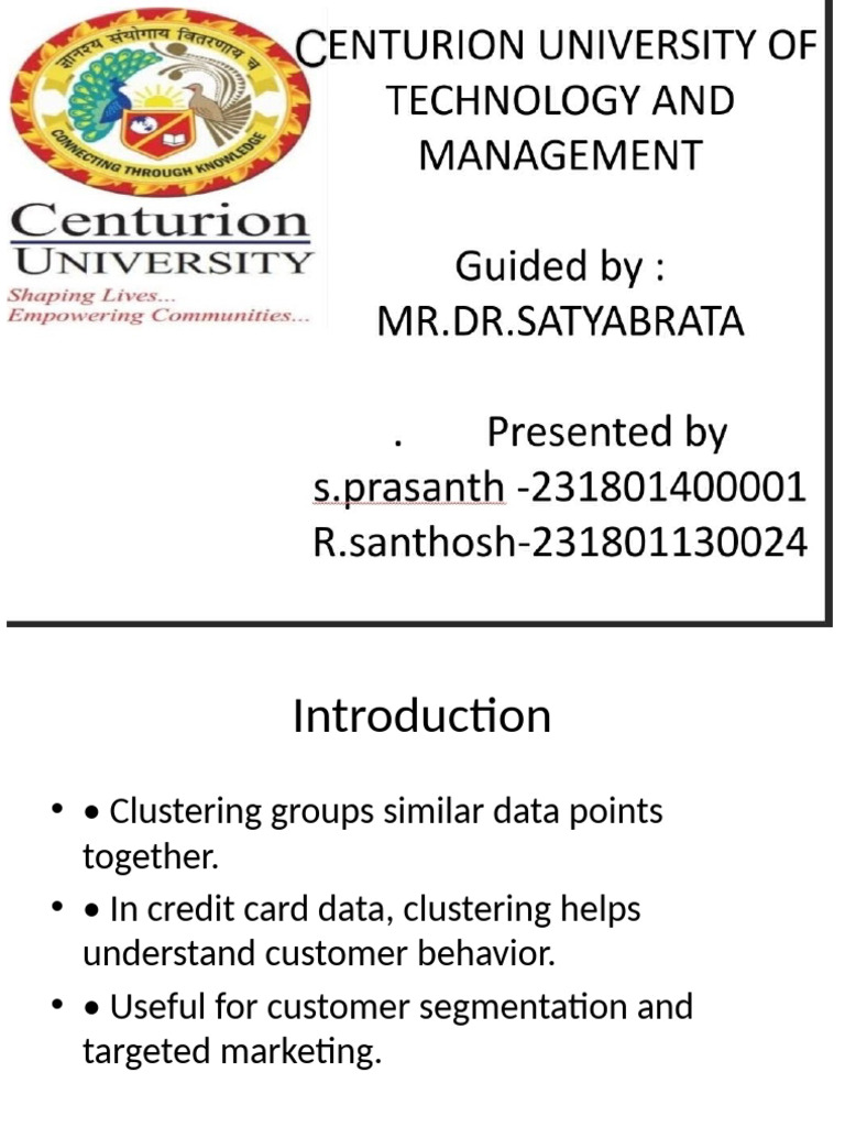 Credit Card Customer Clustering Insights | PDF