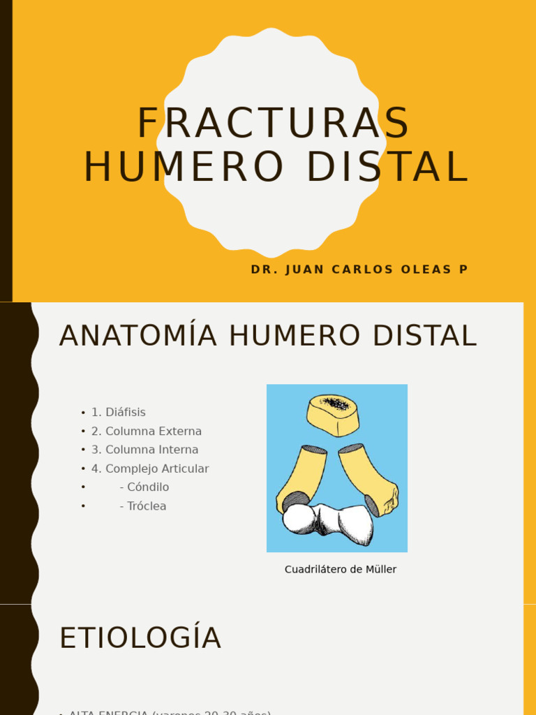 FRACTURAS HUMERO DISTAL | PDF | Codo | Especialidades Medicas