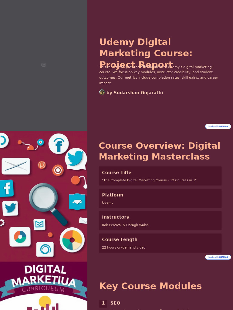 Udemy Digital Marketing Course Project Report | PDF