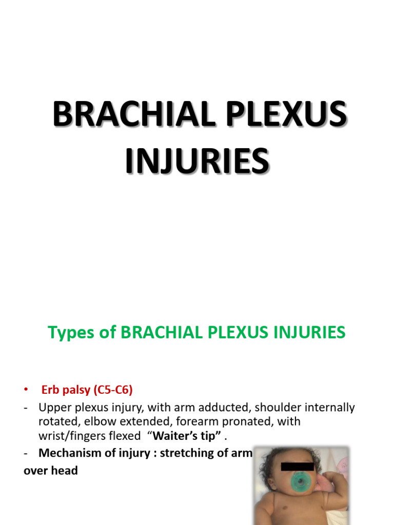 Brachial Plexus Injury Management Guide | PDF | Anatomical Terms Of ...