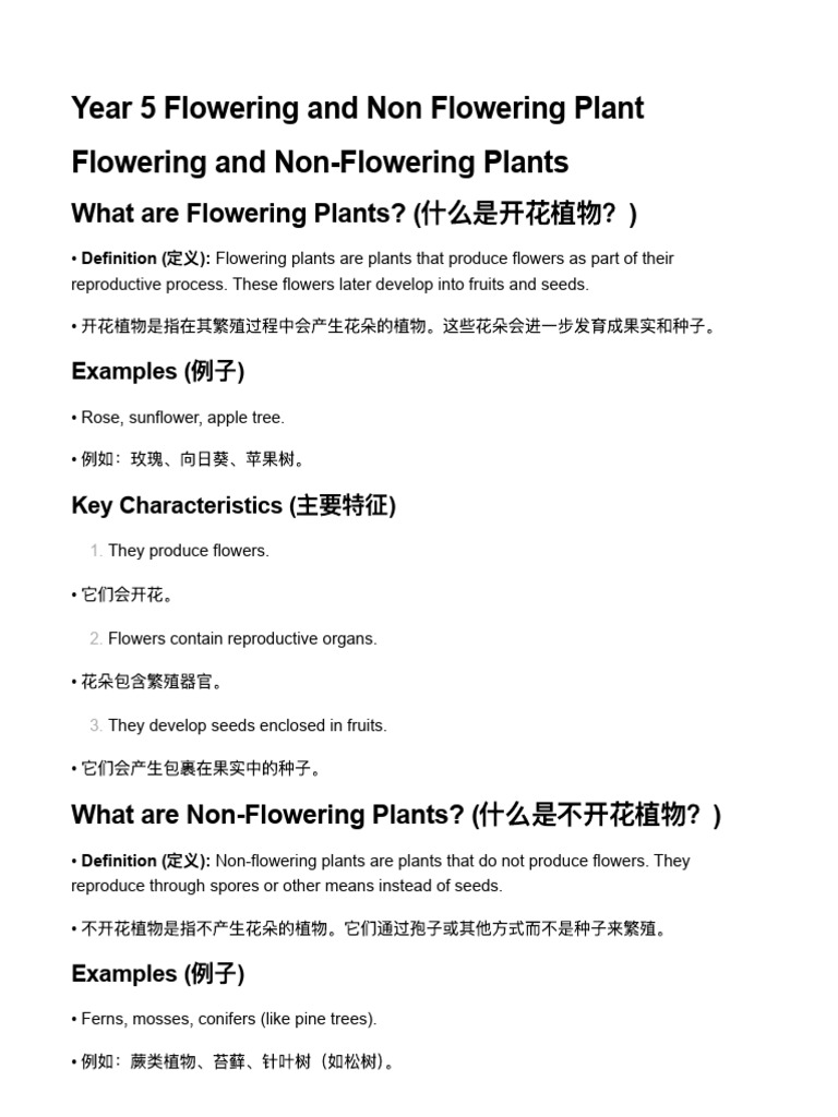 Year 5 Flowering and Non Flowering Plant | PDF | Flowers | Pollination