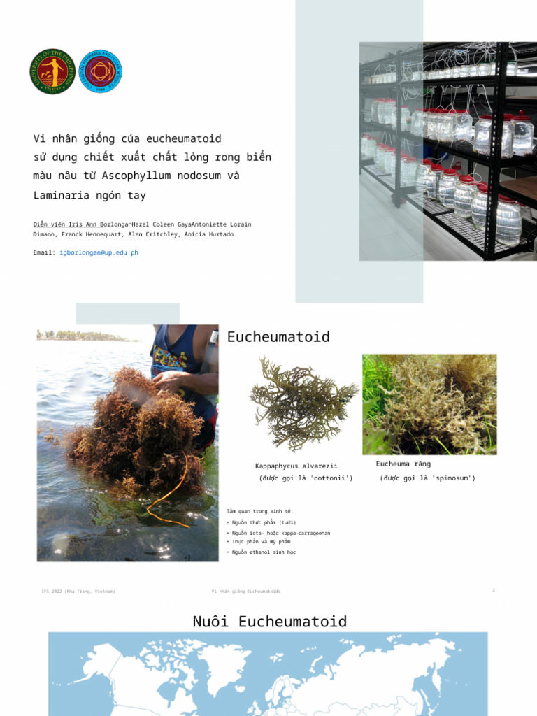 Nuôi Cấy Mô Rong Sụn Sử Dụng Chiết Xuất LDE Và ANE | PDF