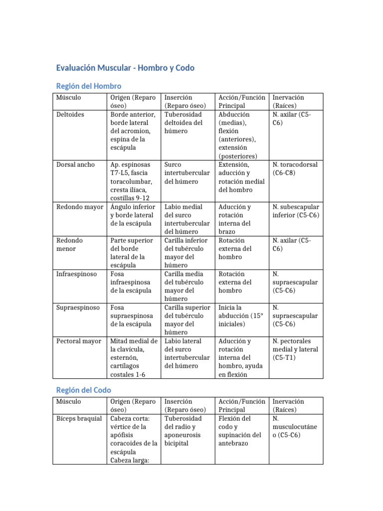 Músculos Hombro y Codo Evaluación Muscular | PDF | Codo | Hombro