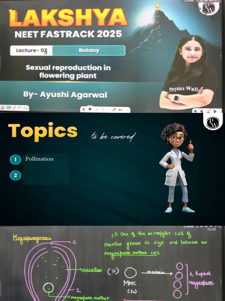 Biology Neet Note Chapter 3 | PDF