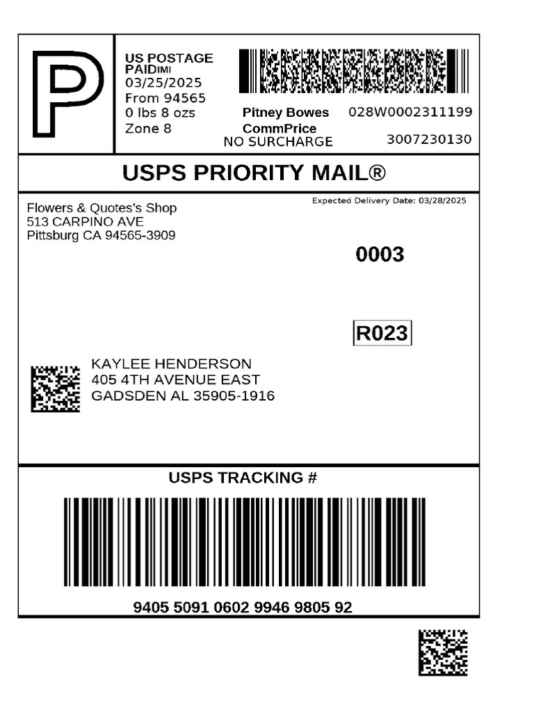03-25_18-27-09_Shipping label | PDF