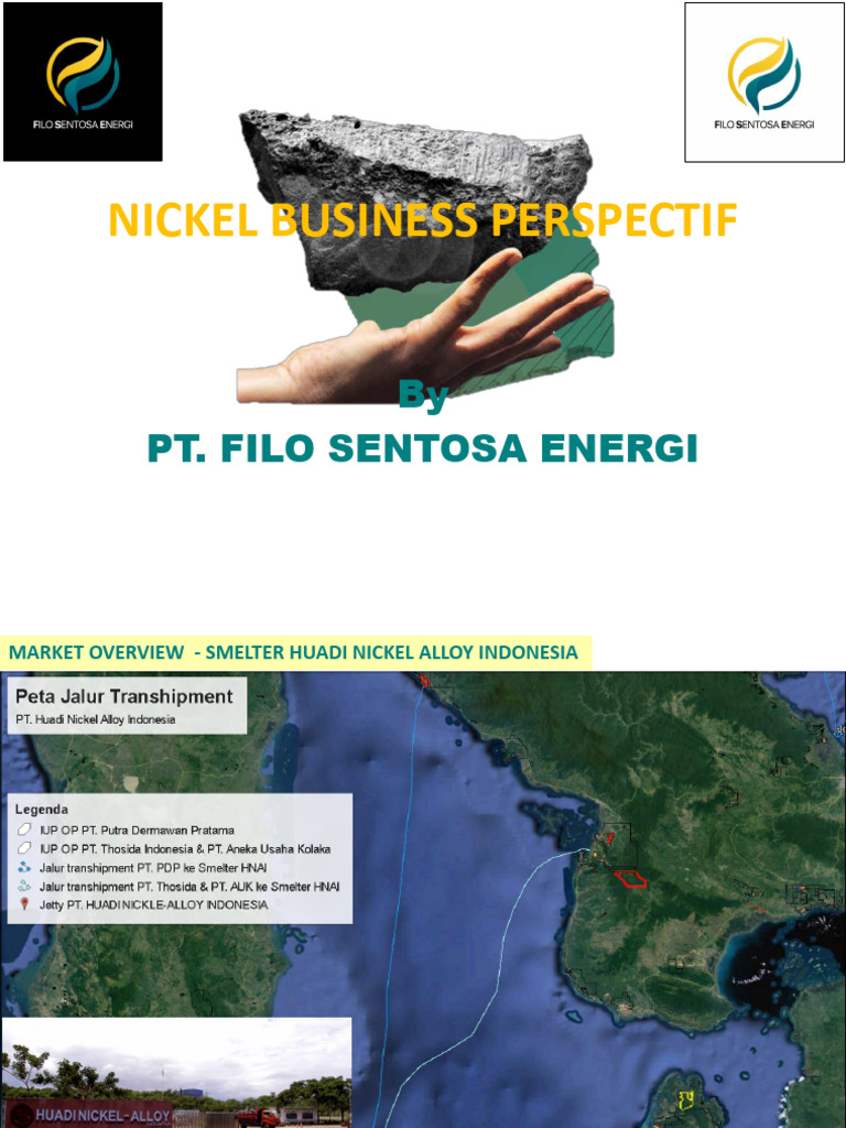 Nickel Business Perspectif by Filo | PDF
