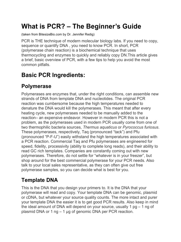 PCR Basics: A Beginner's Guide | PDF | Primer (Molecular Biology ...