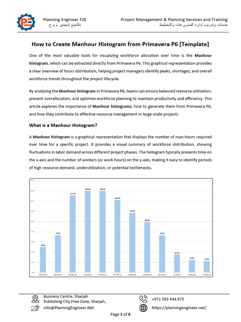 How To Create Manhour Histogram From Primavera P6 (Template) | PDF ...