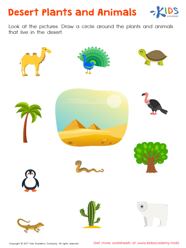 Grade 1 Desert Plants Animals Printable | PDF