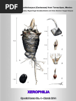 Function and Role of Plumule in Seeds | PDF | Seedling | Biology