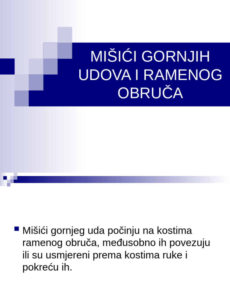 10 Mišići Gornjih Udova | PDF