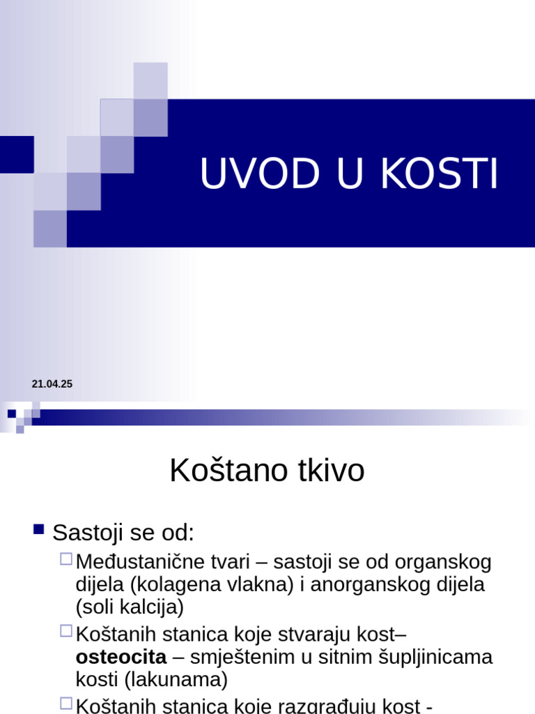 2 KOSTI | PDF