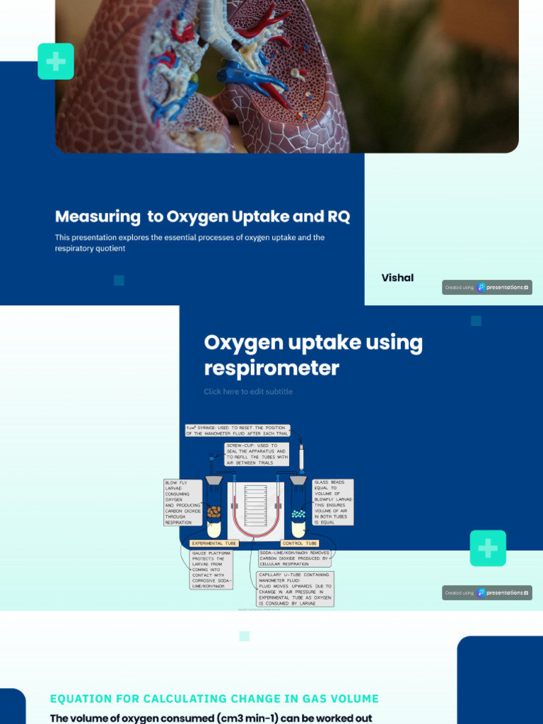 Guide to Measuring Oxygen Uptake and Calculating RQ | PDF