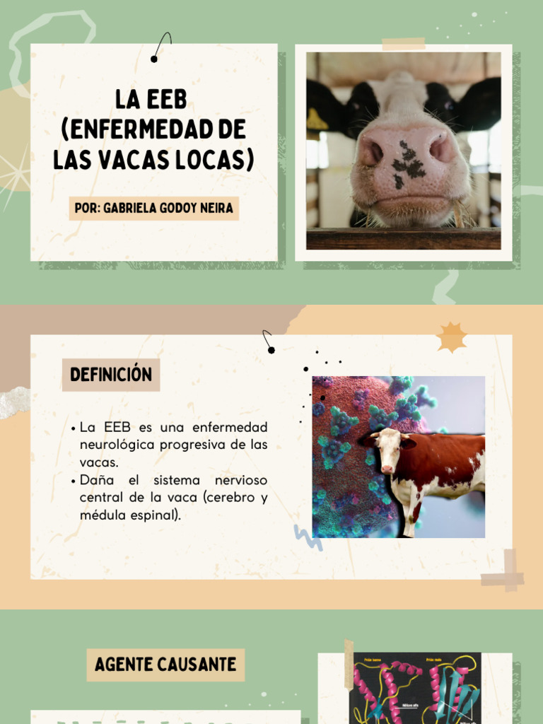 La Eeb - 20250421 - 055719 - 0000 | PDF