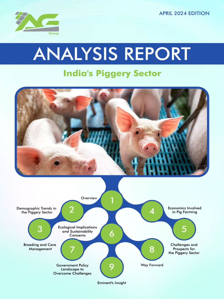 AG Group Analysis Report On Piggery April 2024 | PDF | Agriculture ...