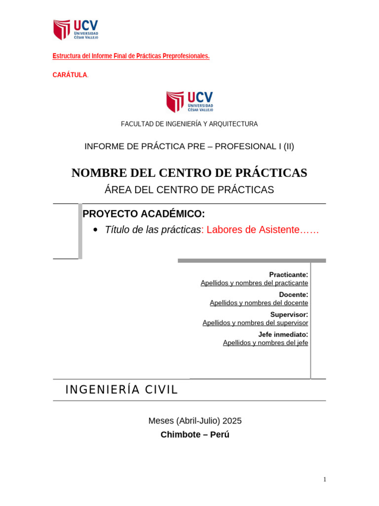 Modelo de Informe de Practicas-2024-II | PDF