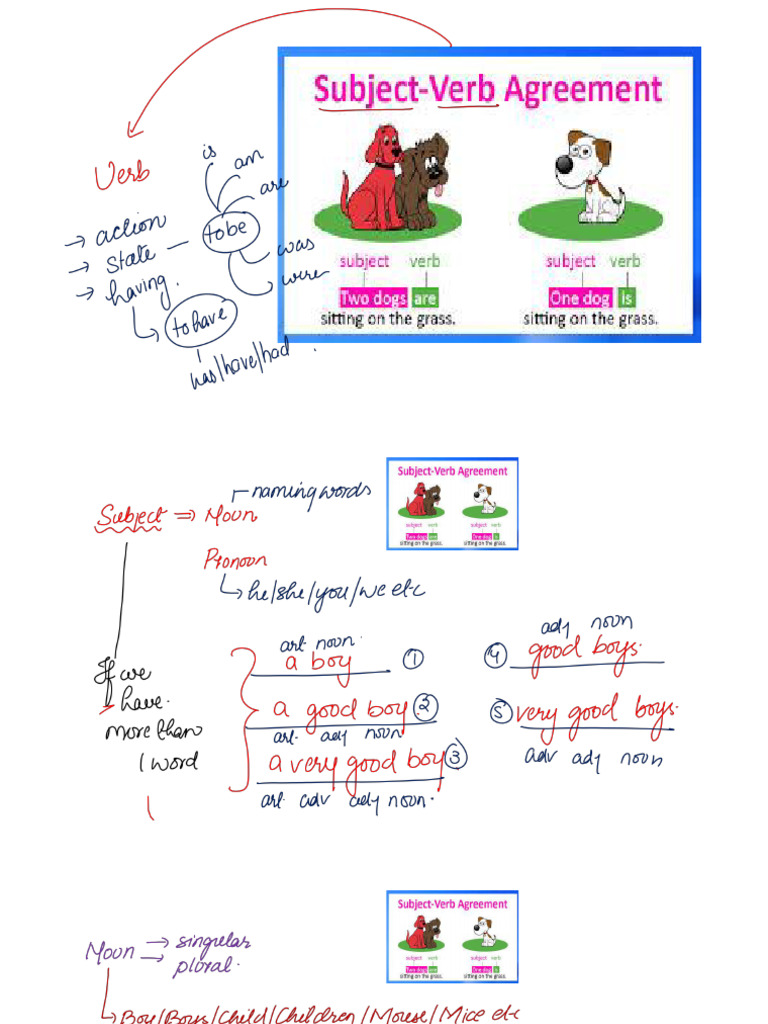 subject verb agrrement | PDF