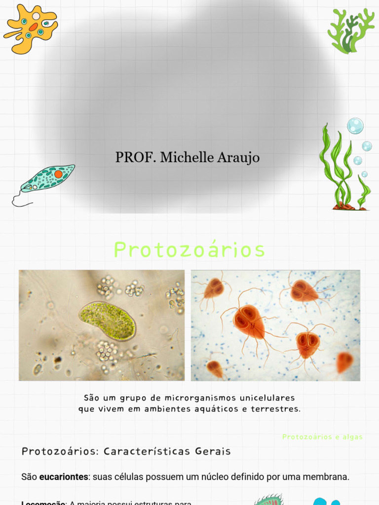 Protozoários e Algas | PDF | Algas | Plasmodium