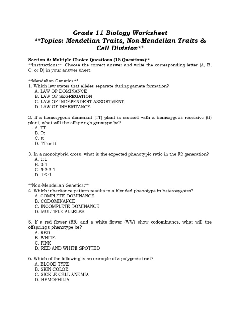 Grade 11 Biology: Genetics & Cell Division Worksheet | PDF | Dominance ...