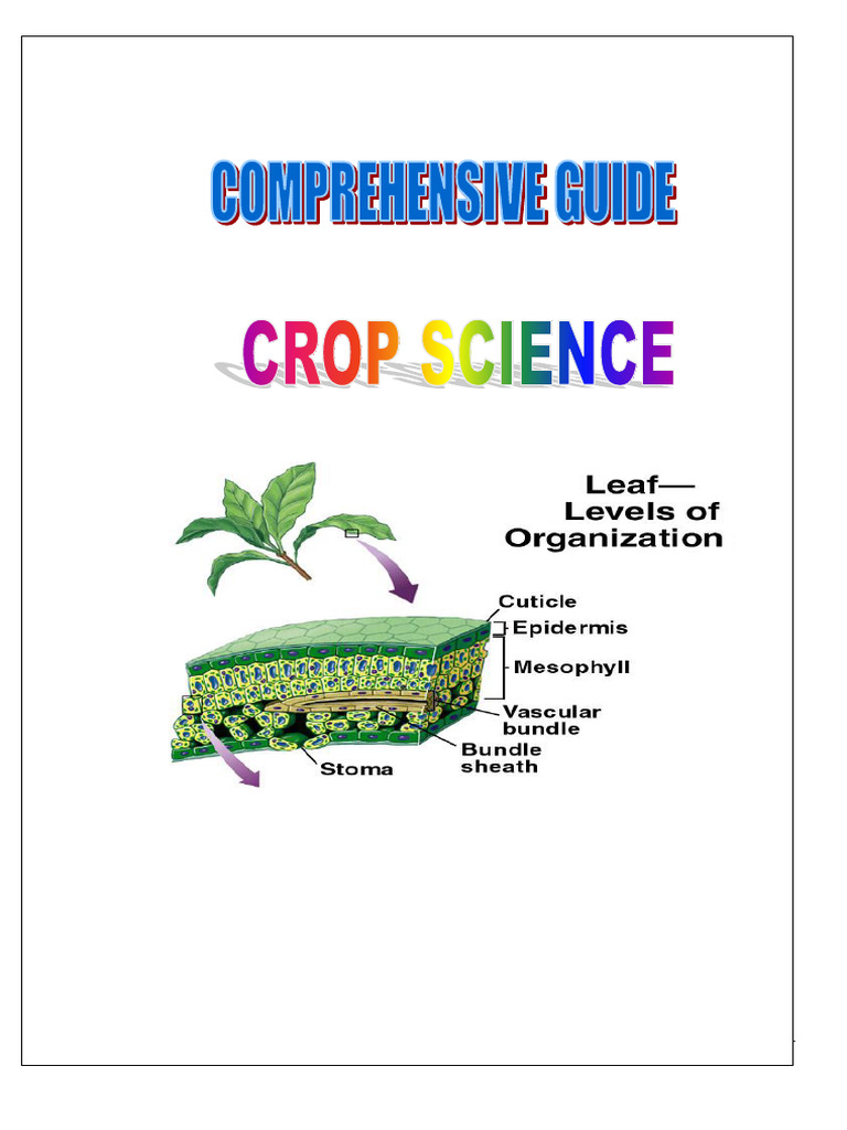 CropScience Module 4 | PDF | Chloroplast | Endoplasmic Reticulum