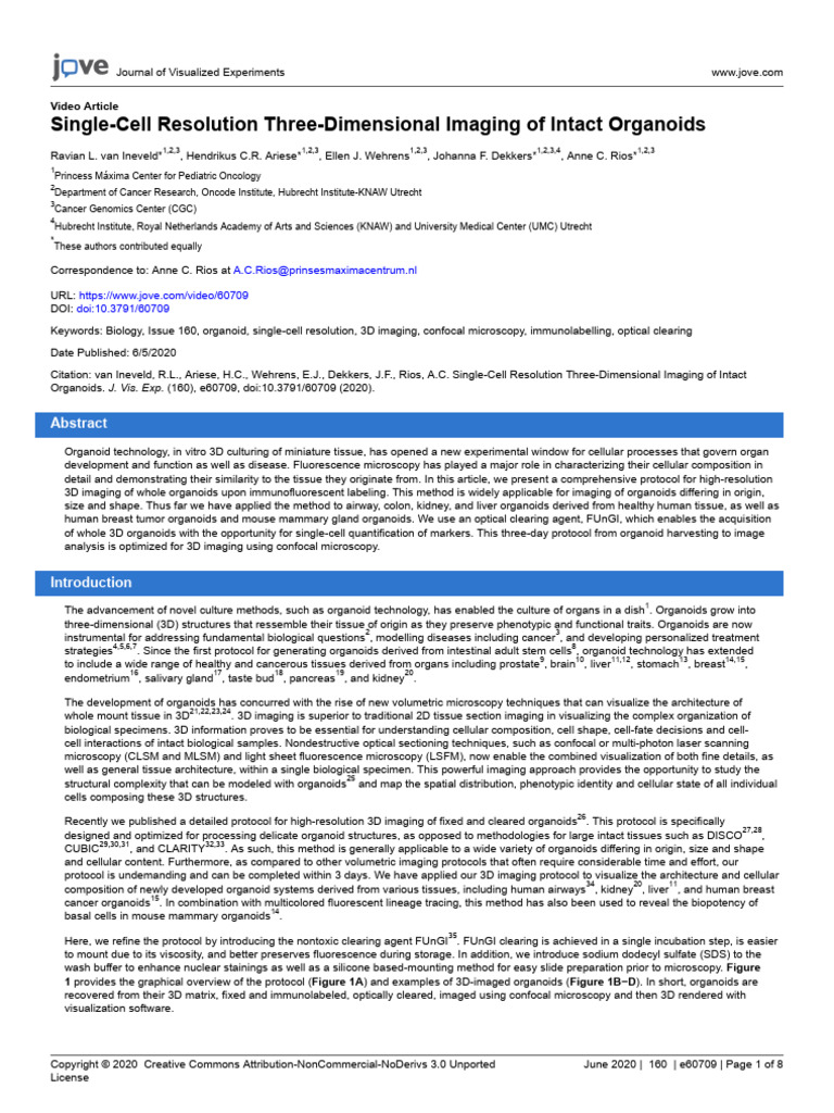 Jove Protocol 60709 Single Cell Resolution Three Dimensional Imaging of ...