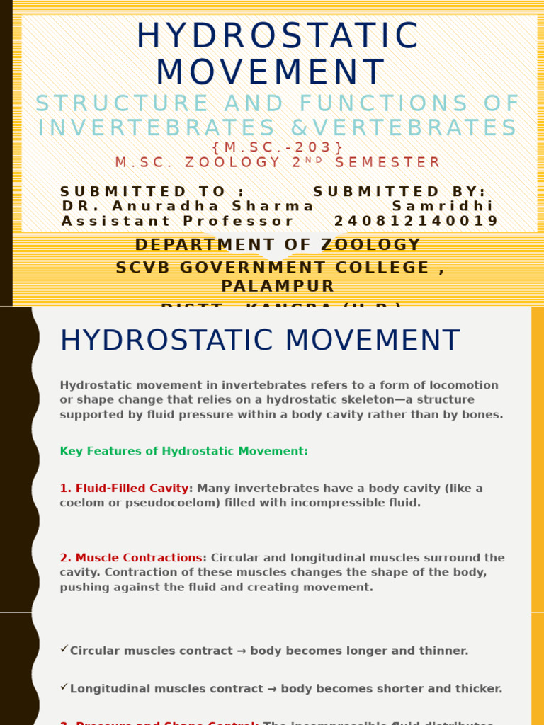 Hydrostatic Movement | PDF | Zoology