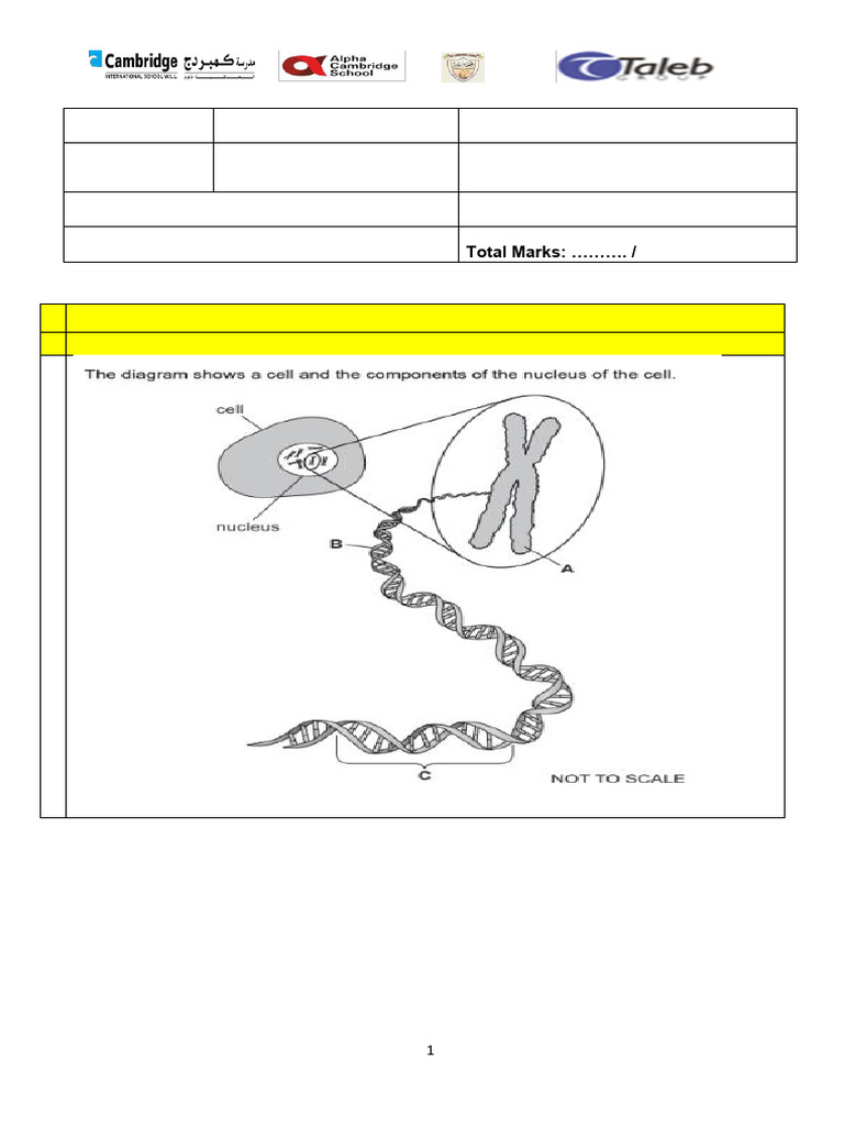 Science Homework Assignment AY 2024-25 | PDF