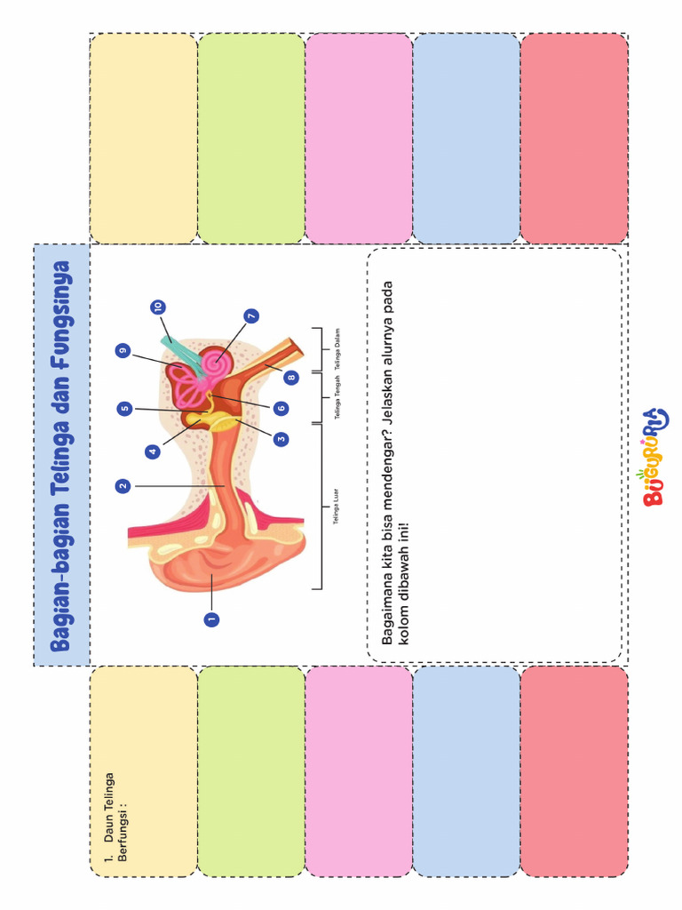 Happy Note Telinga | PDF